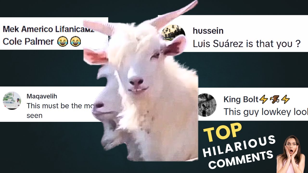 The most handsome goat // chat music on goat #chatmusic #instareel #meme - YouTube