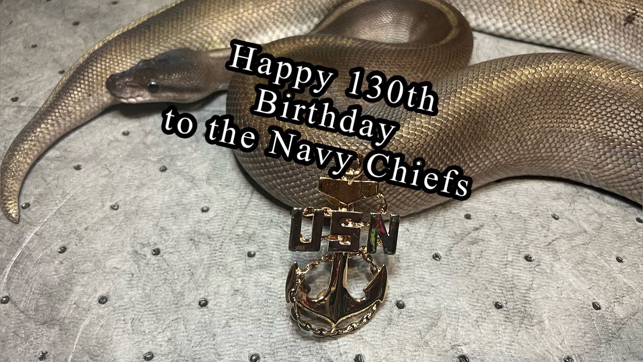 Happy 130th Birthday CPO’s. Let’s check out some cool Boas. - YouTube