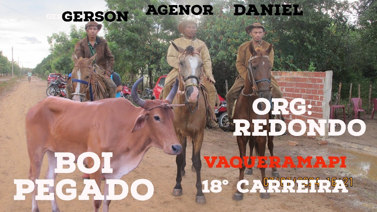 18° carreira do boi pegado com os vaqueiros Agenor,Daniel e Gerson de ...
