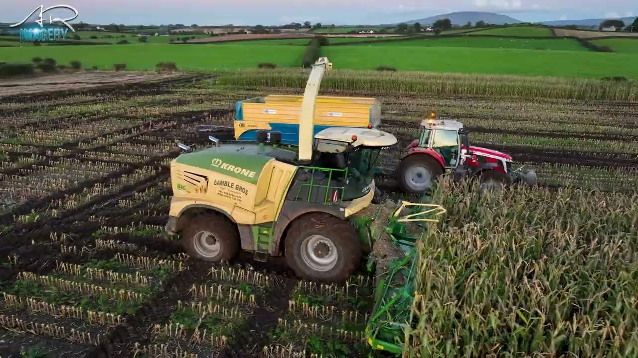 Maize Harvest | Krone Big X 1180 & 12 Row header | 1156 HORSEPOWER ...
