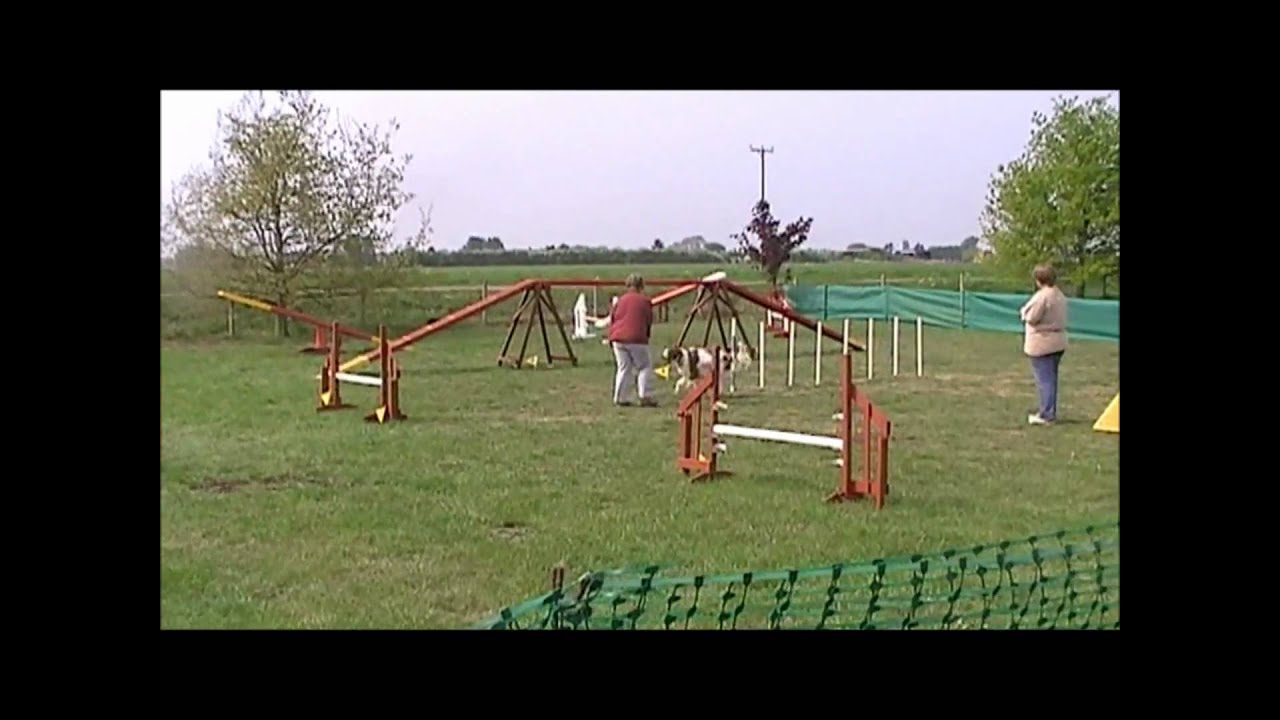 Daisy training away from home - YouTube