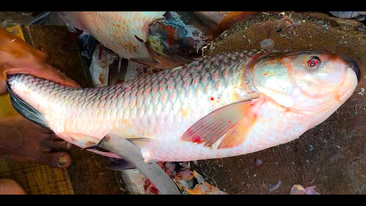Big Rui Fish Scaling And Chopping By Fisherman At Fish Market - YouTube