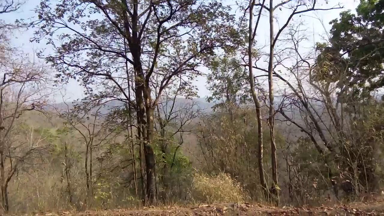 Gangulpara video - YouTube