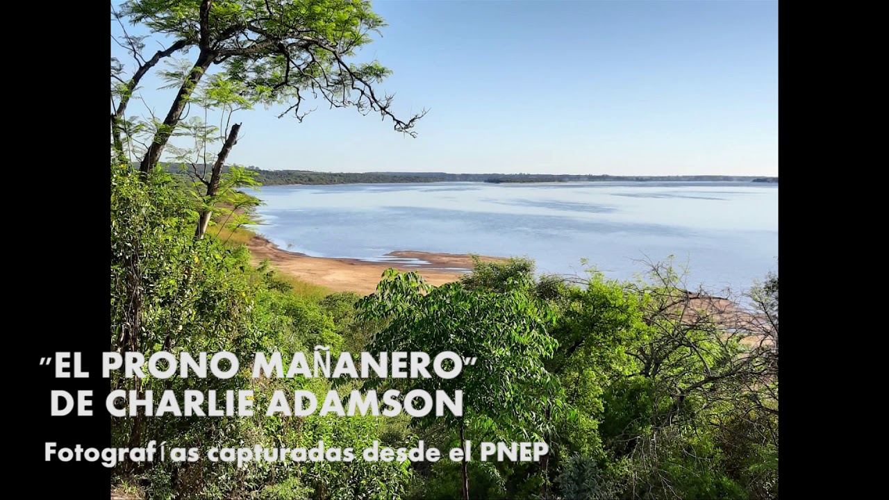 "Prono mañanero" de Charlie Adamson 13 de noviembre - YouTube