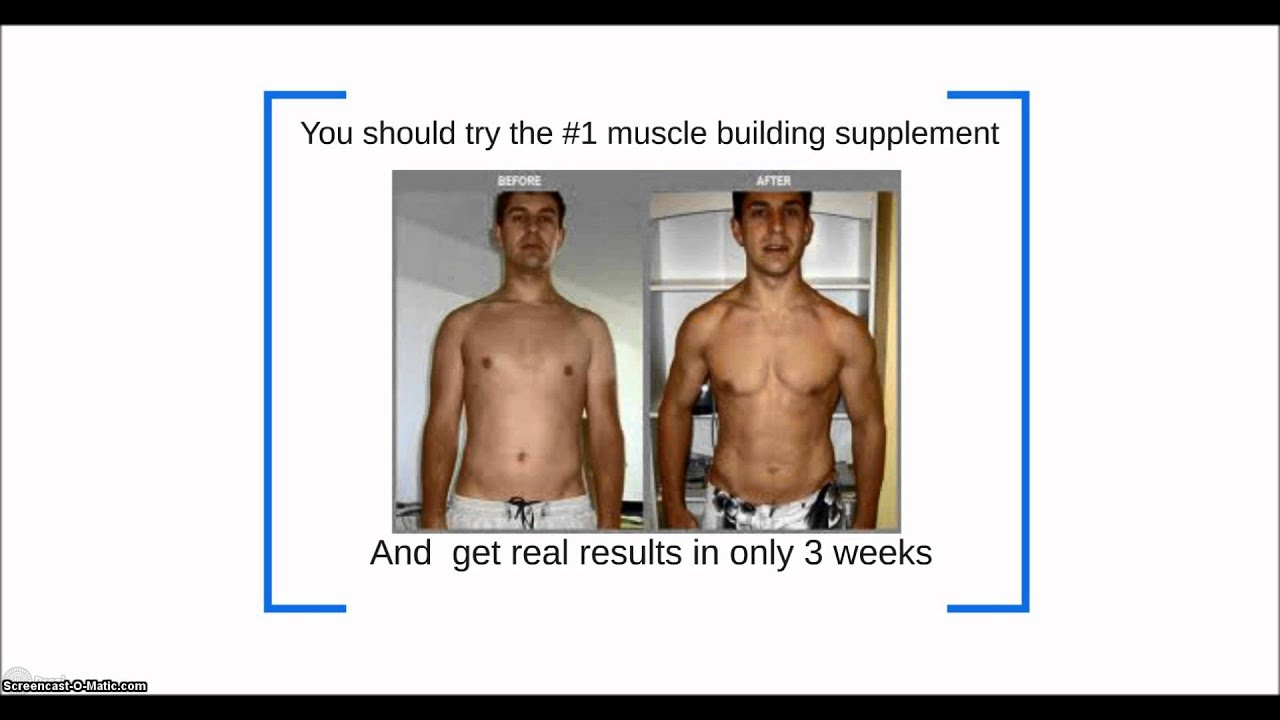 Muscle Building - Build Muscle Fast With The #1 Muscle Building Tip ...
