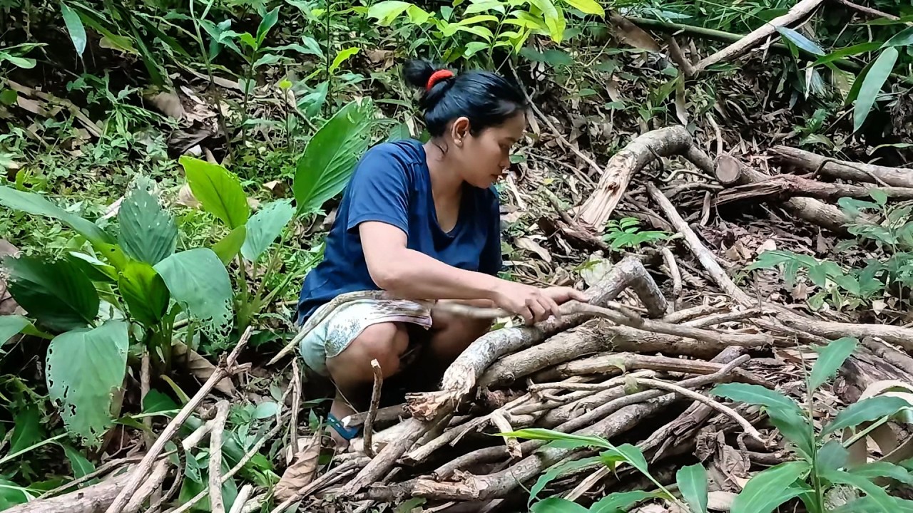 BERPETUALANG DI KEBUN MENGUMPULKAN RANTING RANTING POHON - YouTube