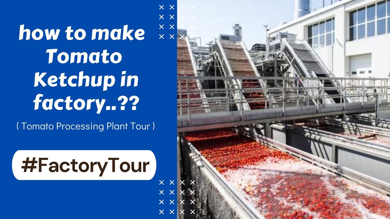 Tomato Ketchup Plant Tomato Processing Plants | Tomato Puree Processing ...