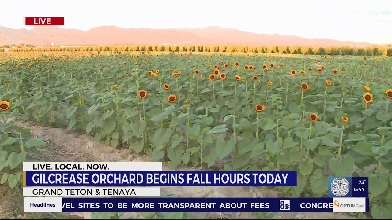 Gilcrease Orchard begins fall hours - YouTube