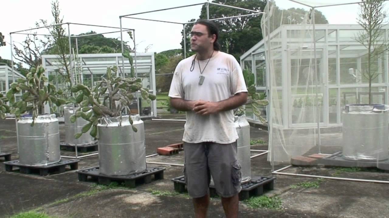 Carbon sync - YouTube