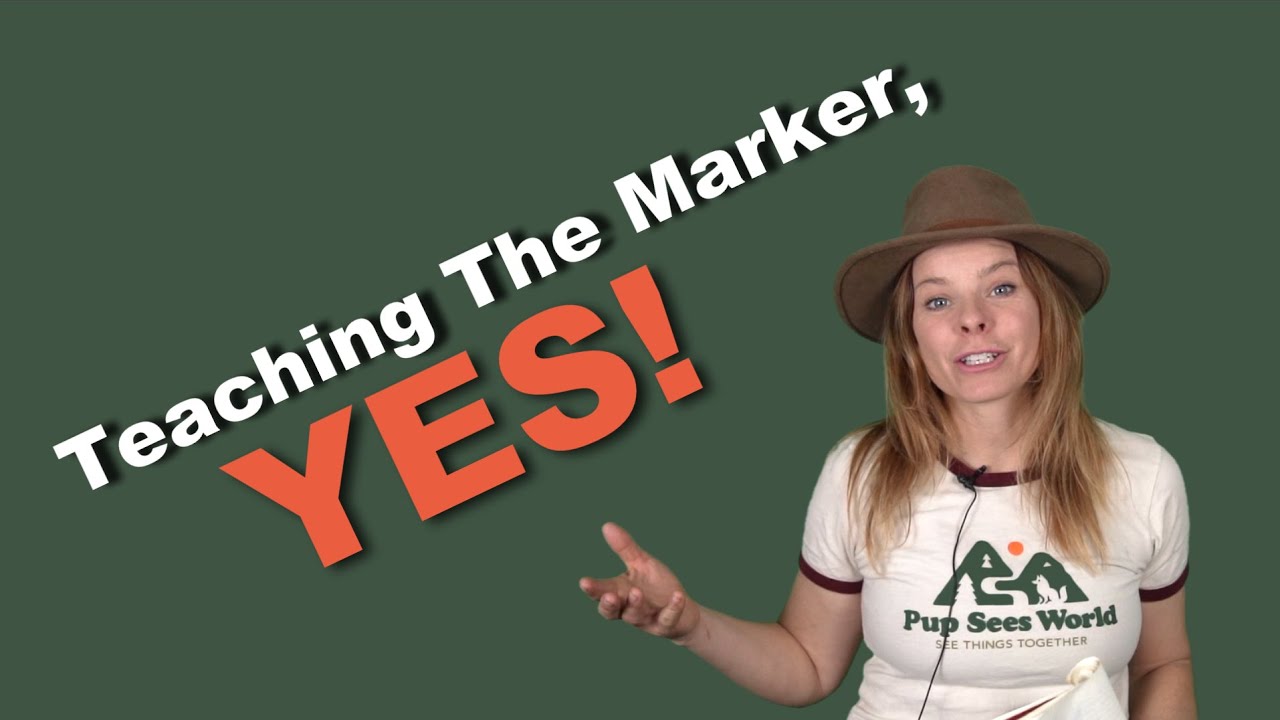 Teaching "Yes" Marker - YouTube