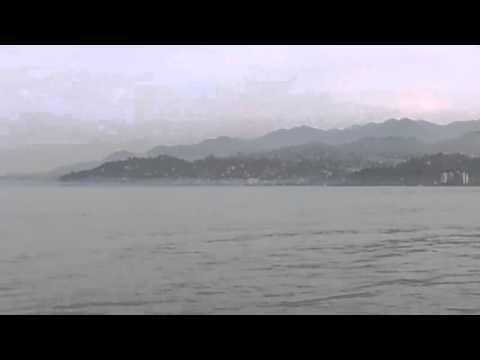 Dolphins in Batumi(2)