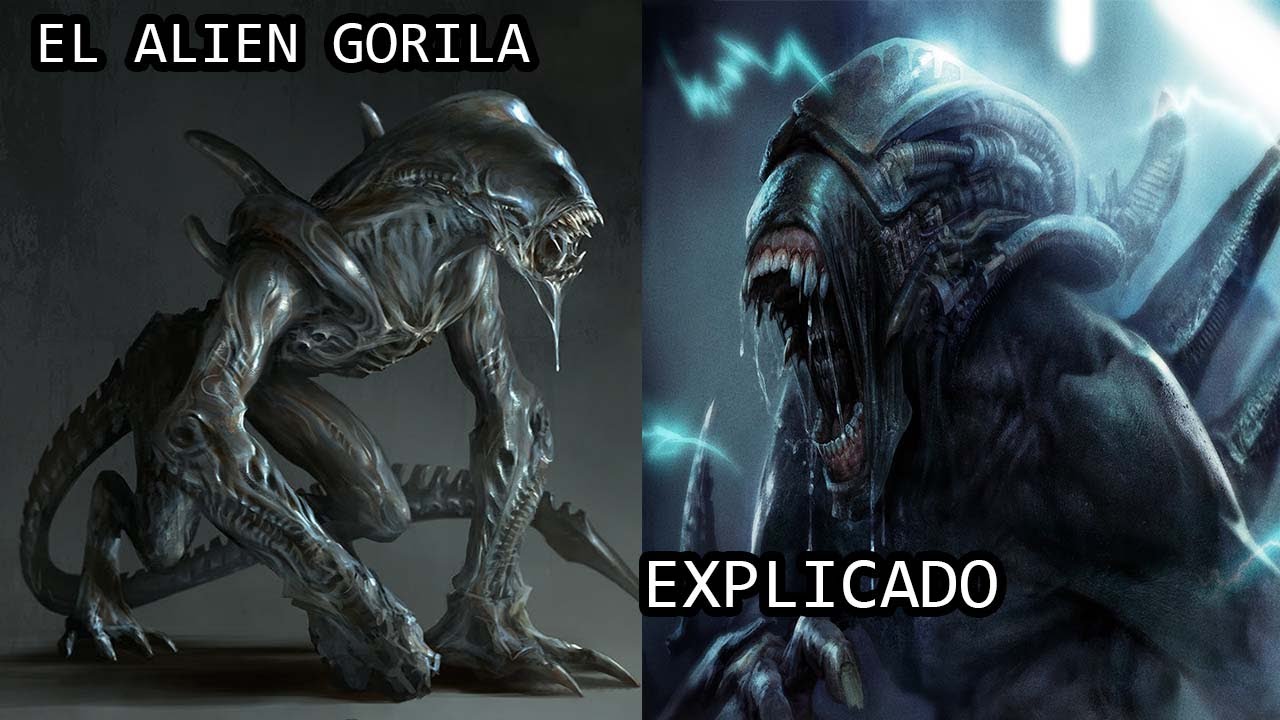 El Alien Gorila o Xenomorfo Gorila EXPLICADO - YouTube