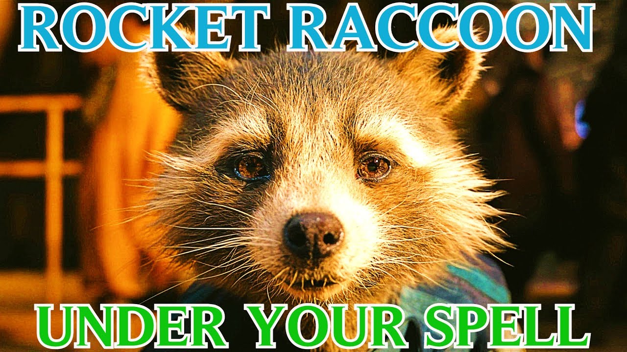 Rocket Raccoon (Guardians Of The Galaxy Vol.3) Tribute | Under Your ...