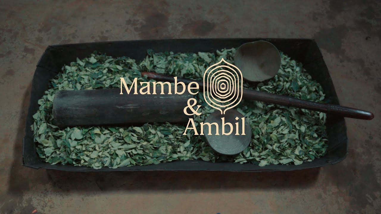 Plantas de poder | Mambe y Ambil - YouTube