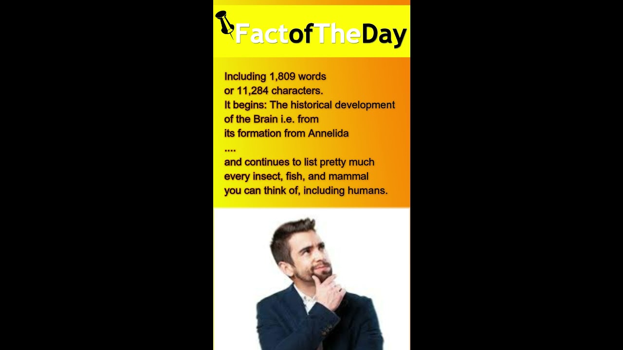 The Longest Book Title Contains 1 809 Words Fact Short YouTube the-longest-book-title-contains-1-809-words-fact-short-youtube