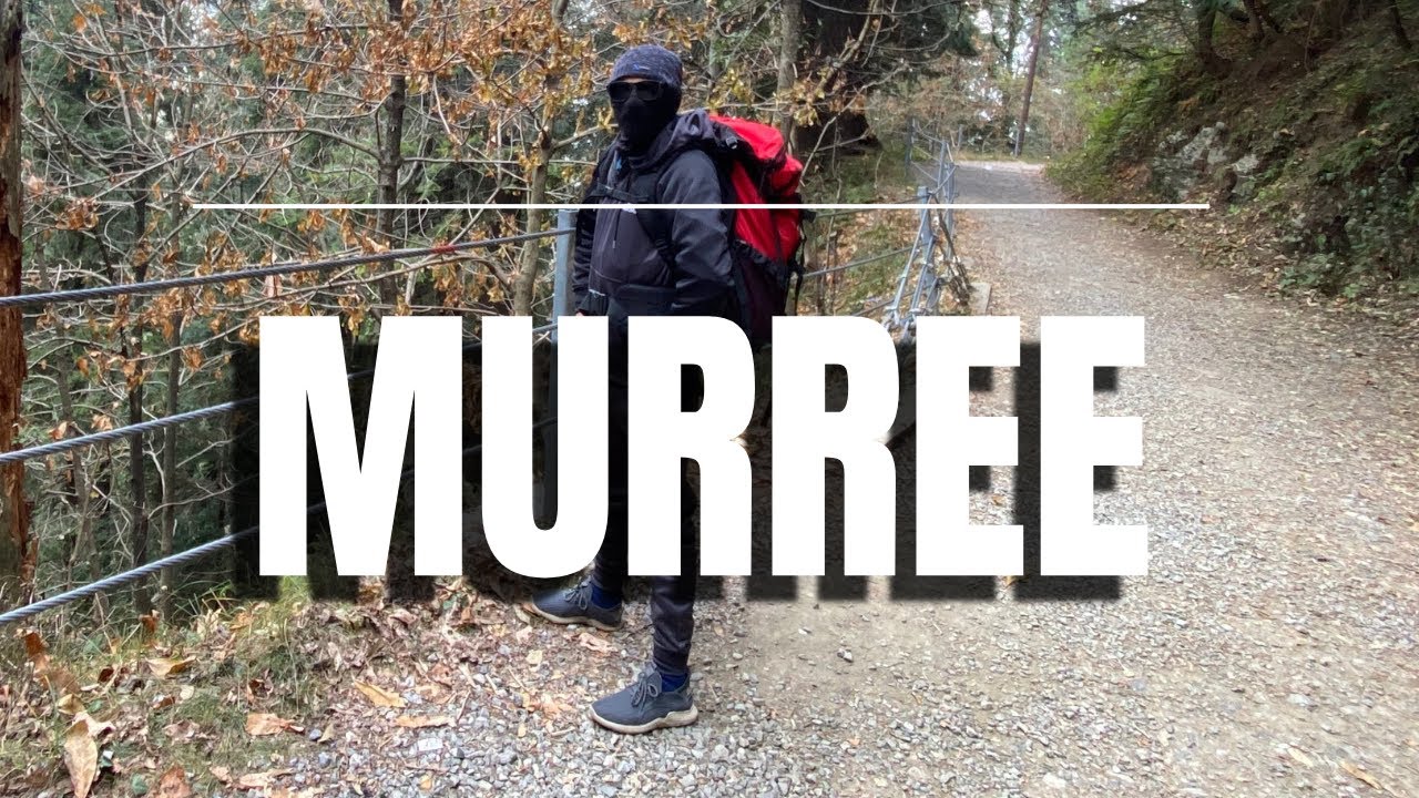 Solo Winter Adventure in Murree | Snowfall, Pipeline Track & Nature's ...