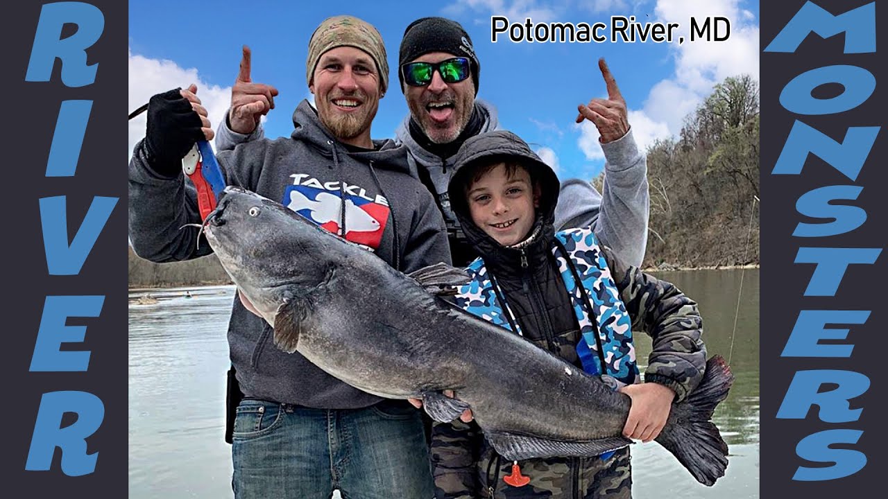RIVER MONSTERS : over 300 pounds of Blue Catfish on the Potomac River ...
