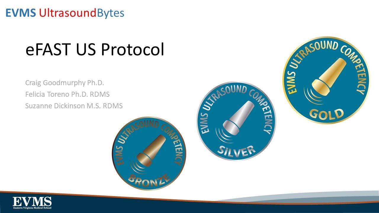UltraSoundbytes the eFAST US Protocol - YouTube
