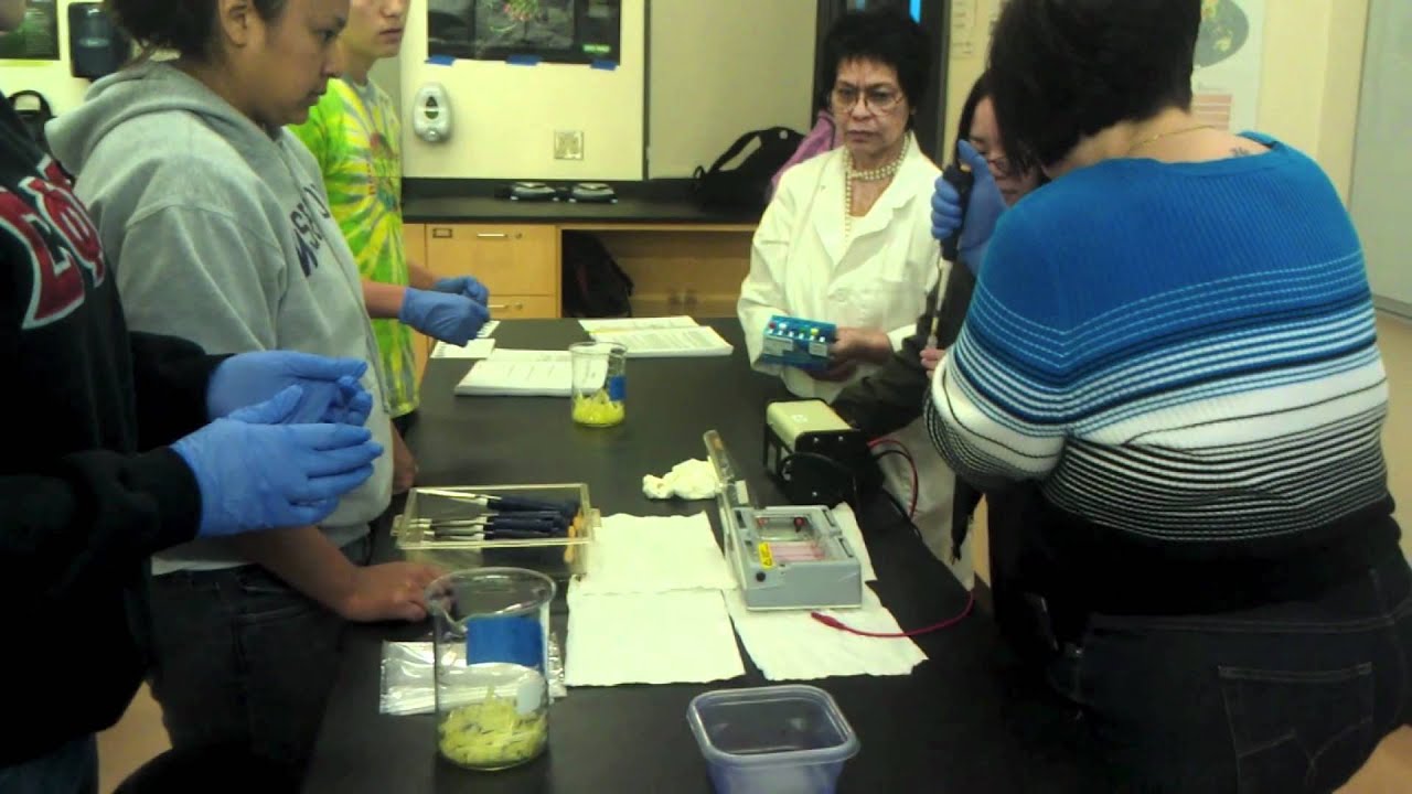 DNA Crime Scene - YouTube