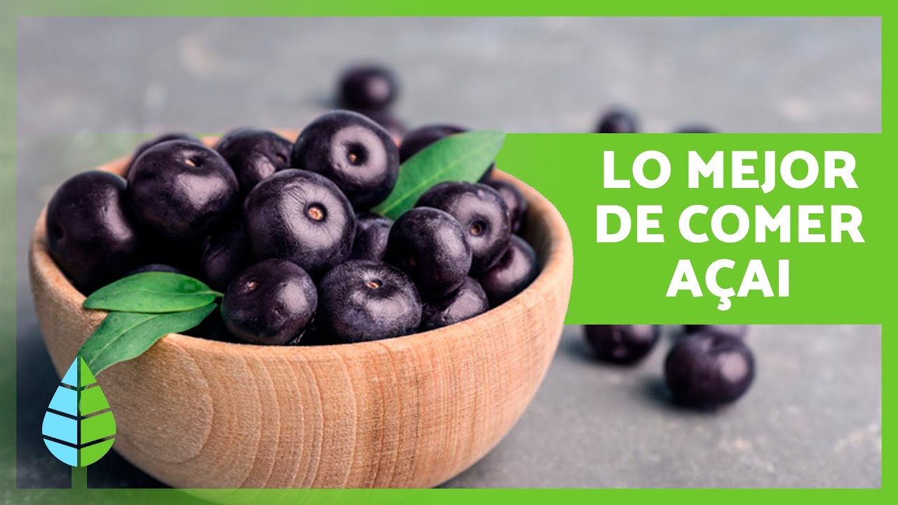 6 Increíbles BENEFICIOS del AÇAI 🫐 ¿Por Qué Deberías COMER AÇAI? - YouTube