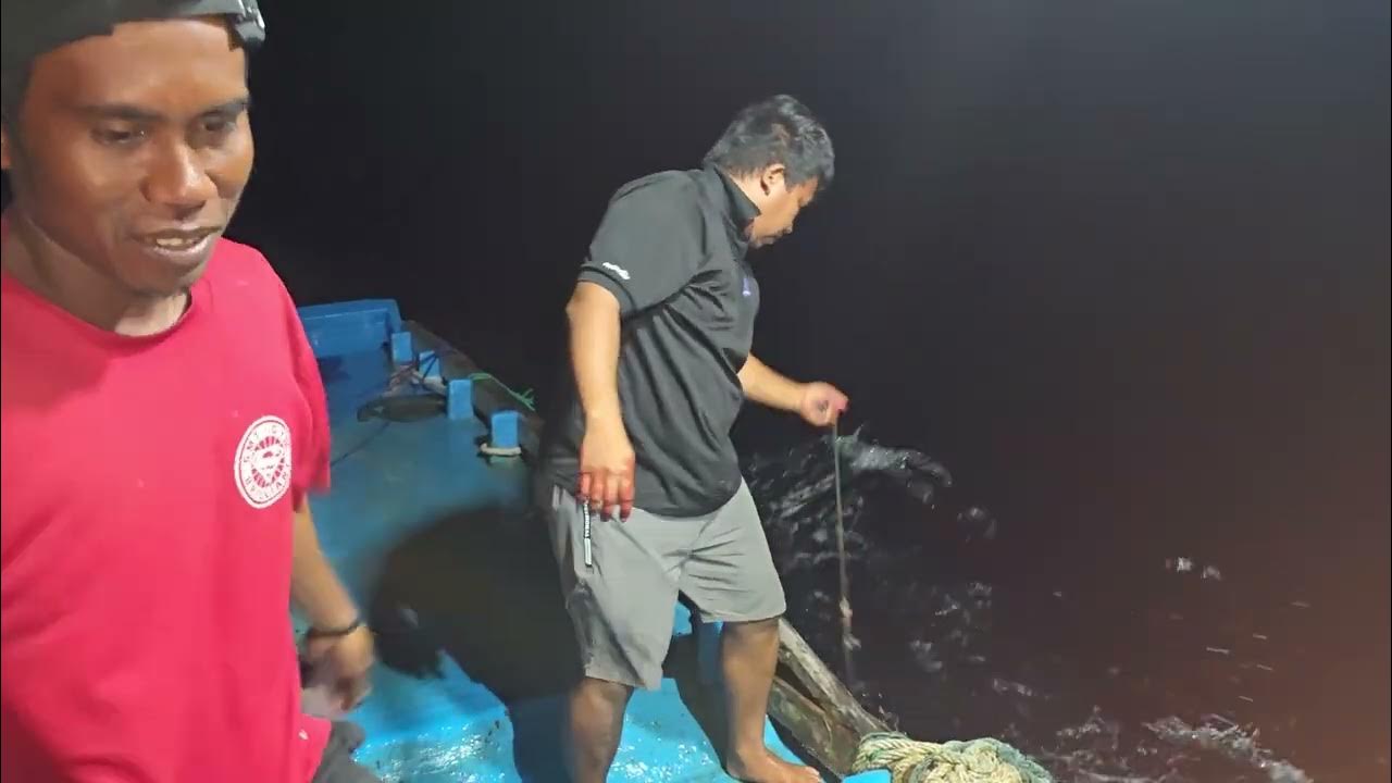 strike yellowfin tuna di rumpon dan tempat penyimpanan mau hampir full sama tuna - YouTube