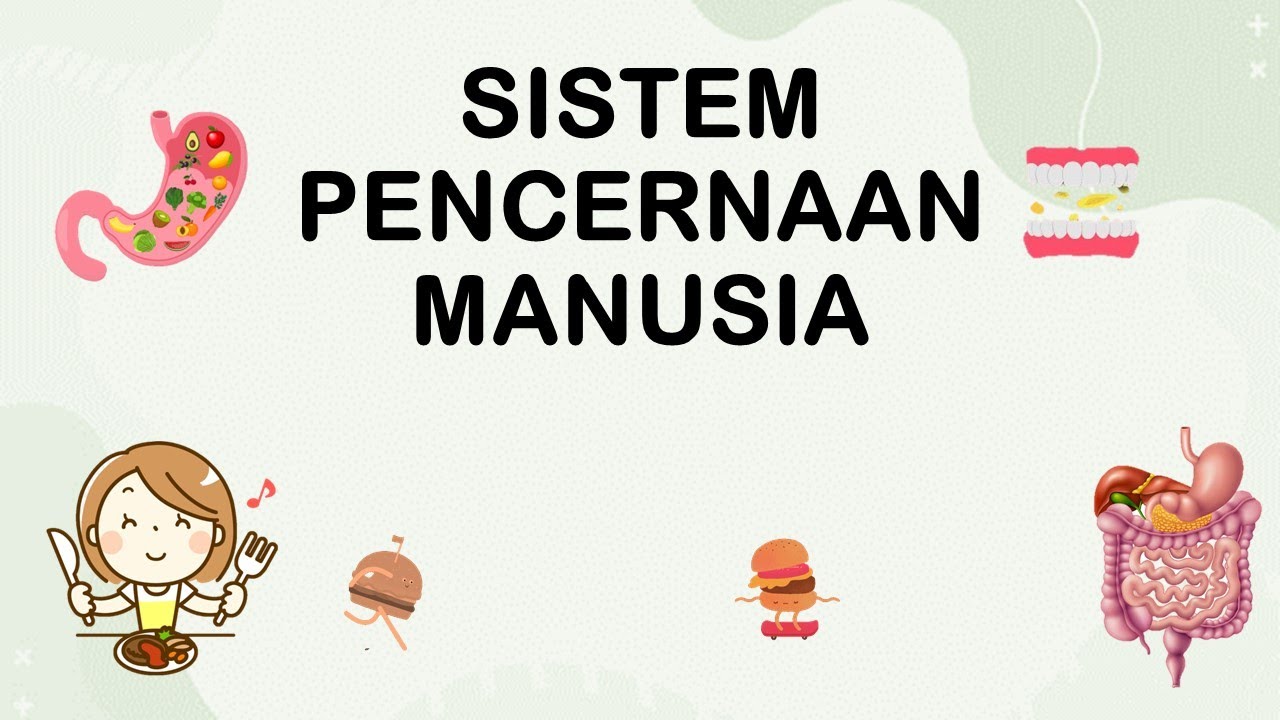 VIDEO PEMBELAJARAN SISTEM PENCERNAAN MANUSIA-MIFTAHUR ROHMAH - YouTube