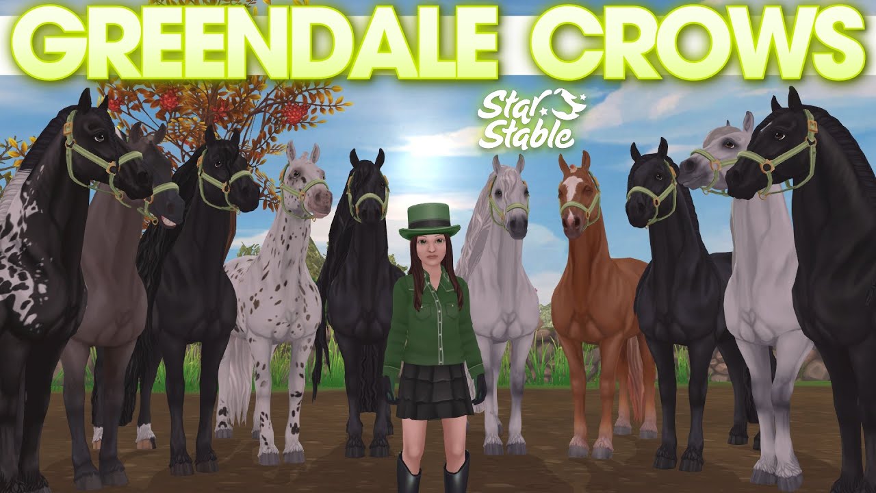 Клуб Greendale Crows Либерти - Работа с лошадьми на свободе | Star ...