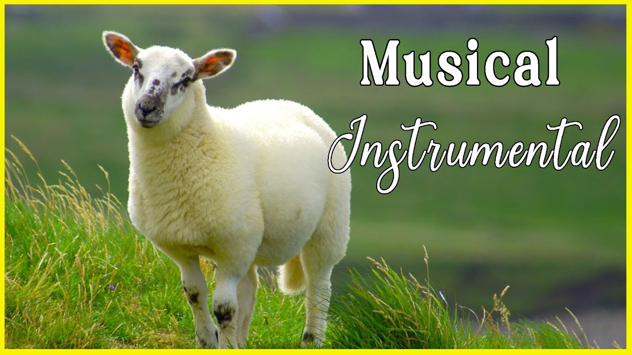Musical Instrumental - Best Prayer Melodies || Catholic Hymn || Best ...