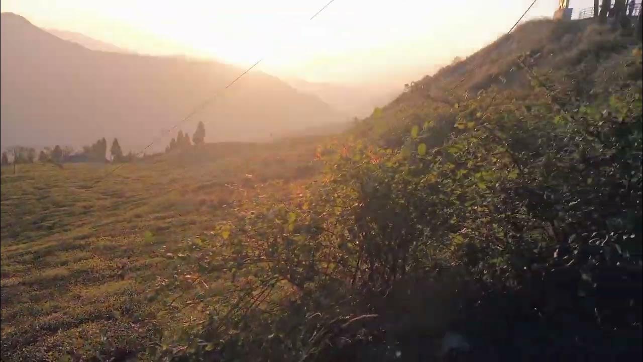 A1b2c3d4e5@@ - Youtube