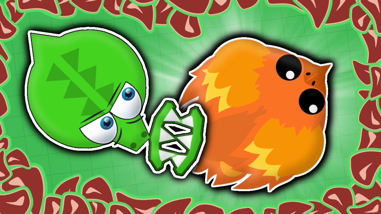 *NEW* PHOENIX ANIMAL UPDATE TEASER // GORILLA DESTROYING NEW PHOENIX'S ...