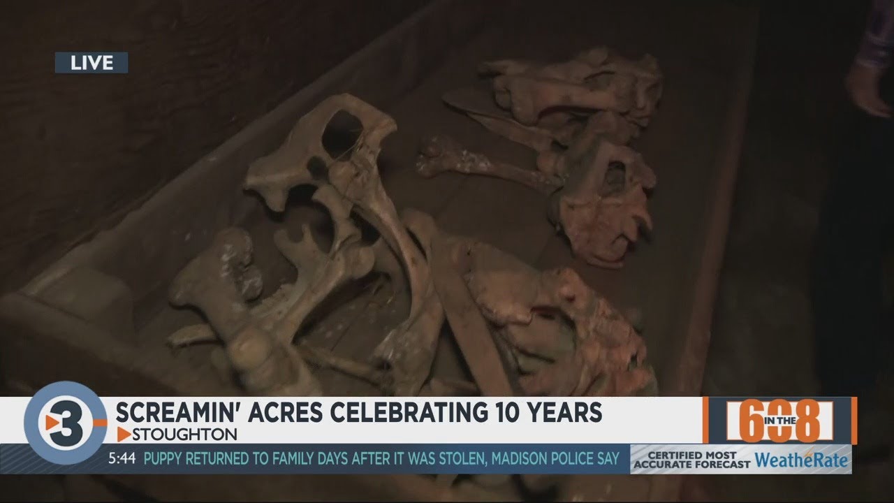 In the 608: Screamin' Acres celebrating 10 years in Stoughton - YouTube