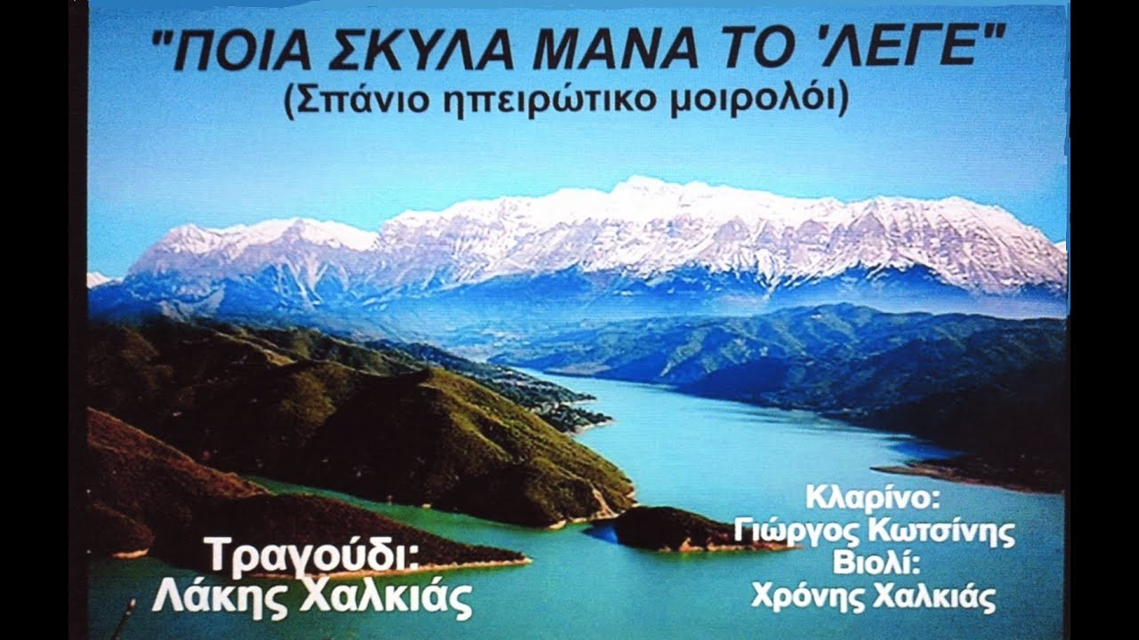 "ΠΟΙΑ ΣΚΥΛΑ ΜΑΝΑ ΤΟ 'ΛΕΓΕ" ΛΑΚΗΣ ΧΑΛΚΙΑΣ - ΜΟΙΡΟΛΟΙ ΜΟΝΟ ΟΙ ΧΑΛΚΙΑΔΕΣ ...