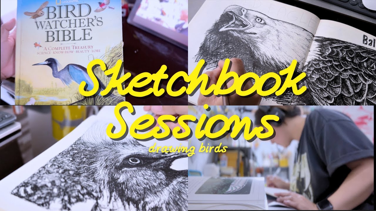 Drawing Birds with a Pen | Easy Sketchbook Practice - YouTube
