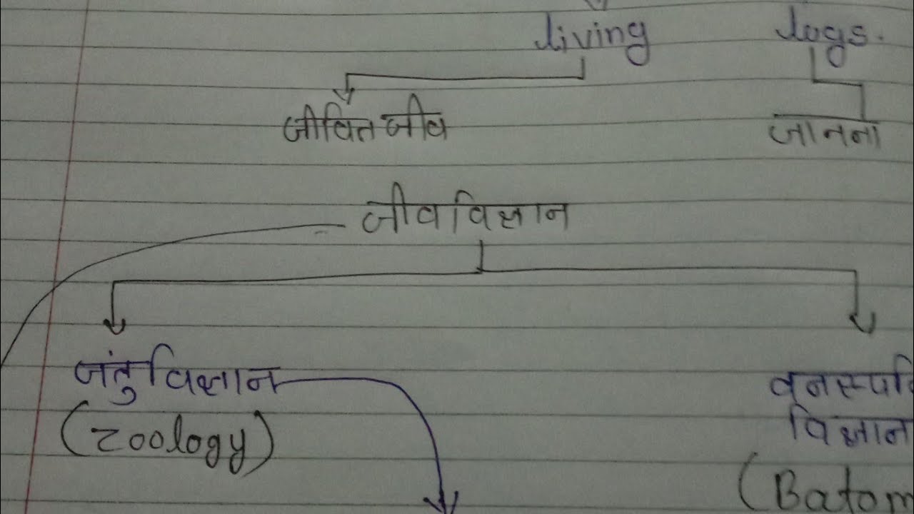 Science Class 11 Biology Biology Meaning In Hindi YouTube science-class-11-biology-biology-meaning-in-hindi-youtube