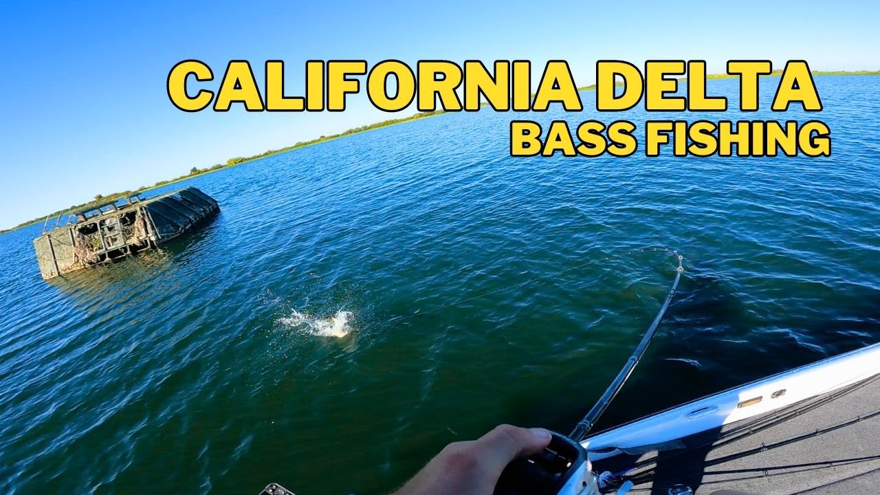 Non-Stop ACTION Bass Fishing on The California Delta 🔥🎣 - YouTube