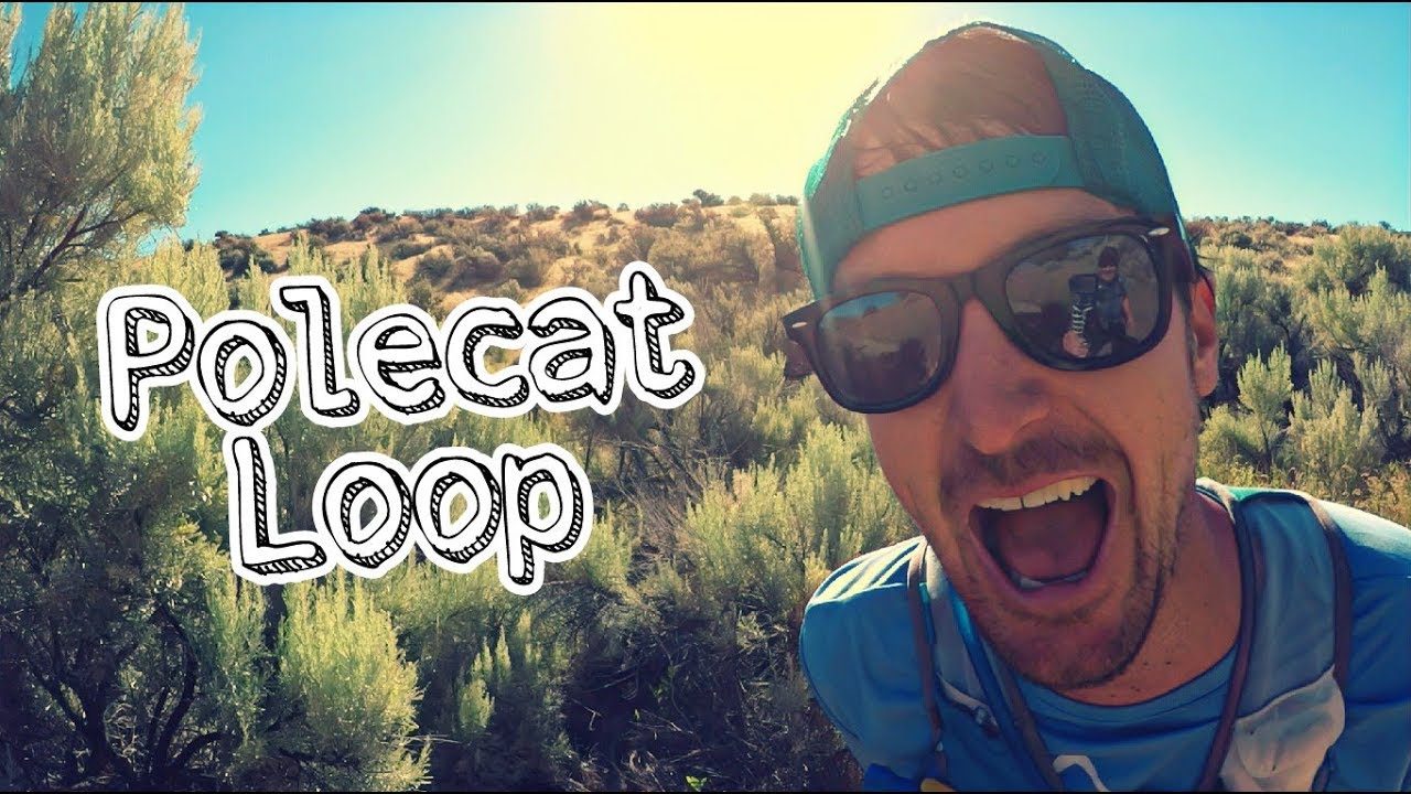 Polecat Loop | Ridge to Rivers Trail | Boise Idaho - YouTube