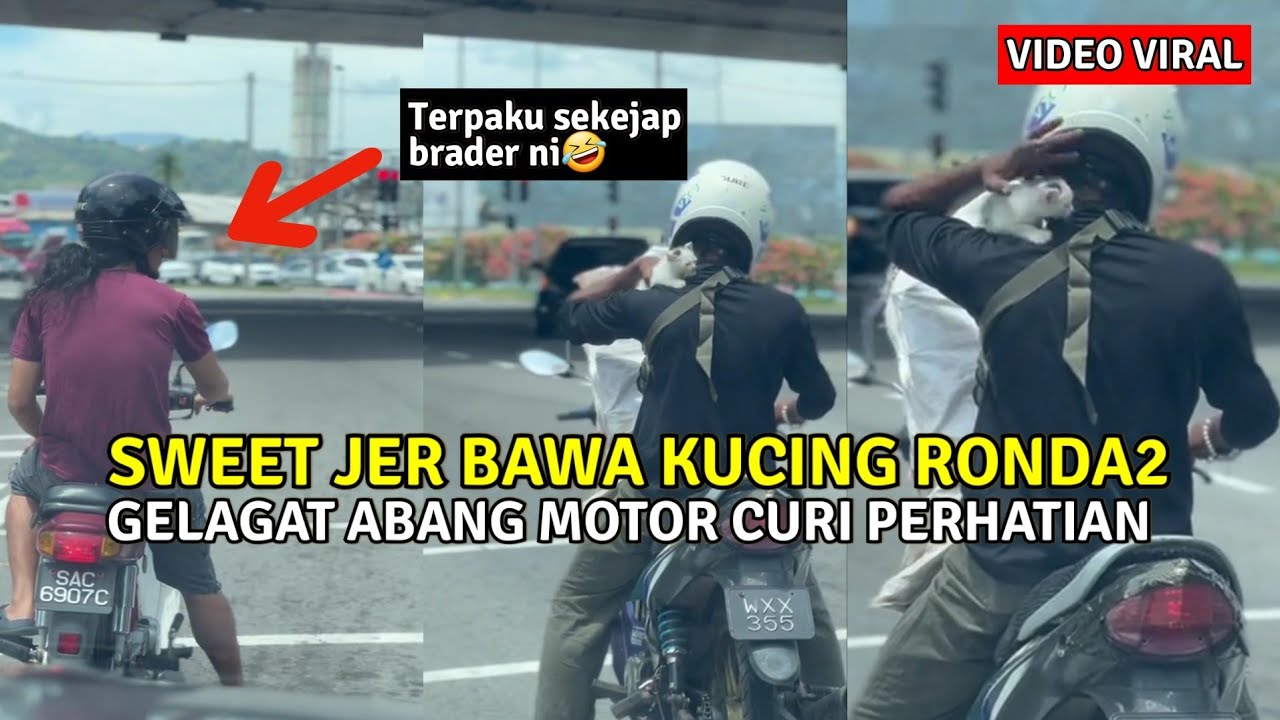 GELAGAT BRADER MOTOR BAWA KUCING JALAN2 CUIT HATI WARGANET - YouTube