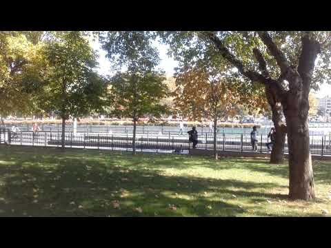 Taciz istanbul fatih ilçesi fatih anıt parkta tacizci araplar suriyeliler