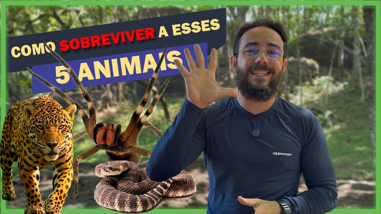 Top 5 animais mais perigosos no Brasil e como lidar com eles no meio do ...