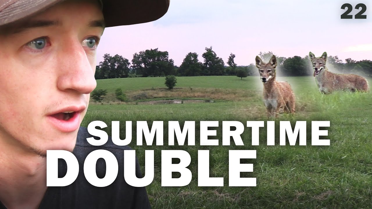Summertime Double AGGRESSIVE COYOTES!! (Self Filmed Kentucky Coyote ...