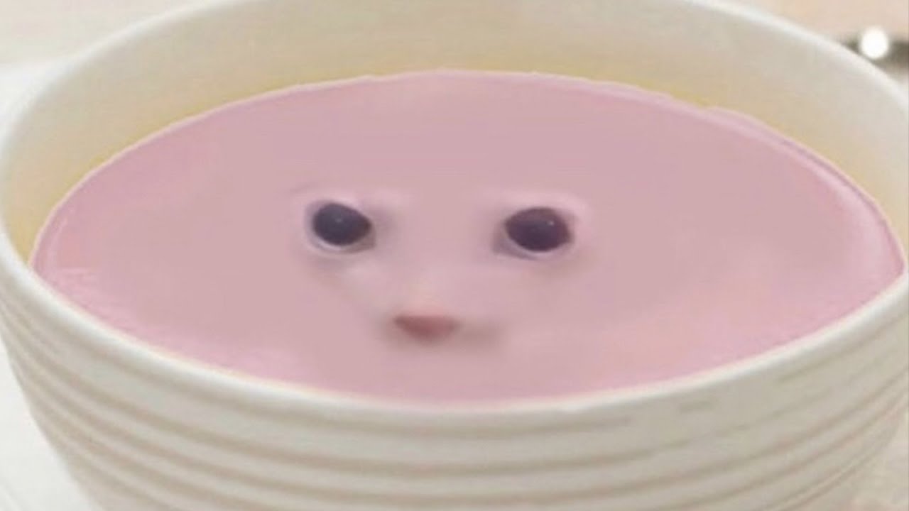 bingus soup - YouTube