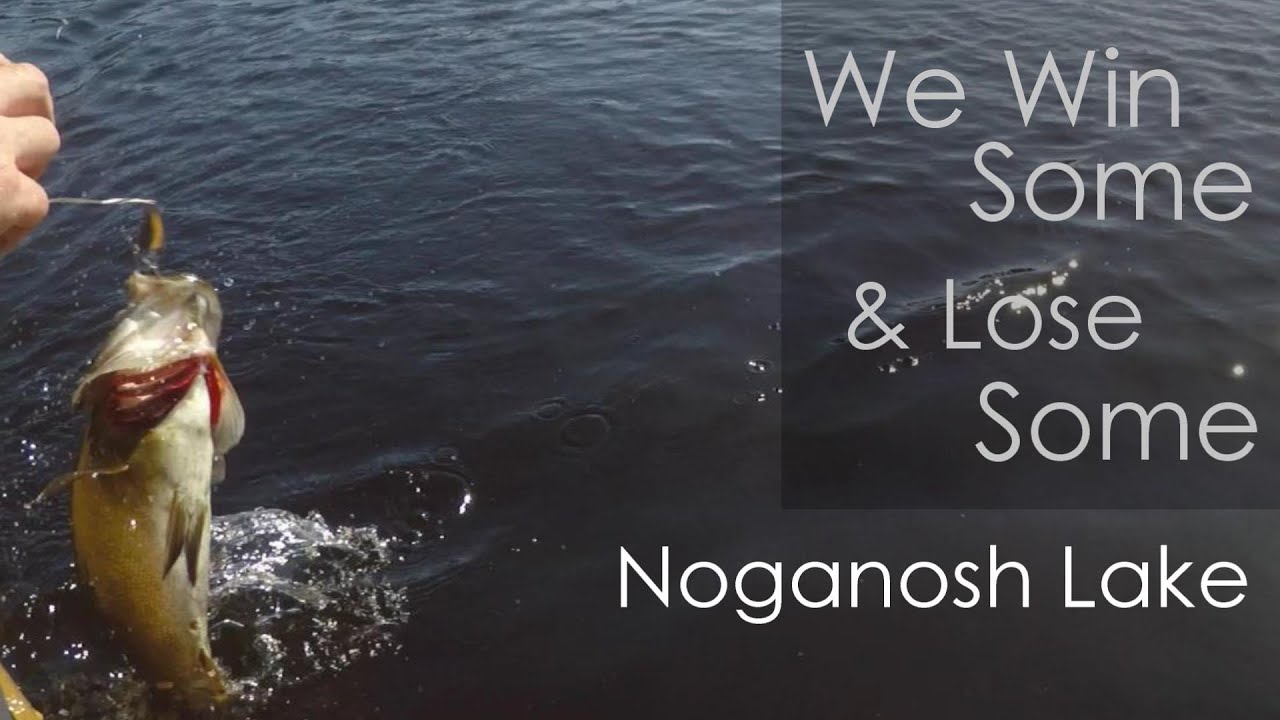 Noganosh Lake Fishing : That's Good Bass! - YouTube