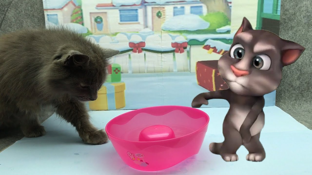 My Real Talking Tom 4 shorts. DIY - YouTube