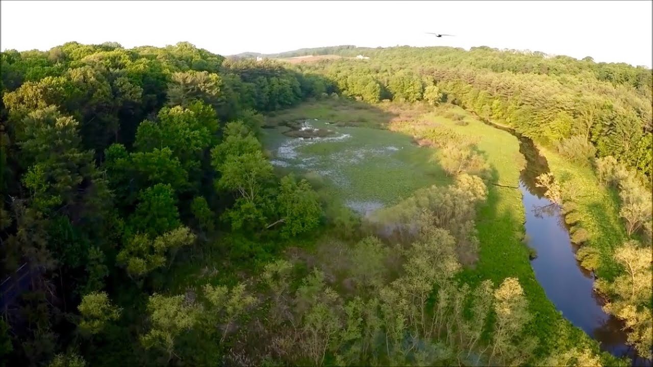 Sweet Arrow Lake w/ Bald Eagle sighting - YouTube