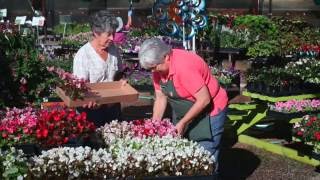 Bookcliff Gardens | Nursery and Gardening Center in Grand Junction, CO