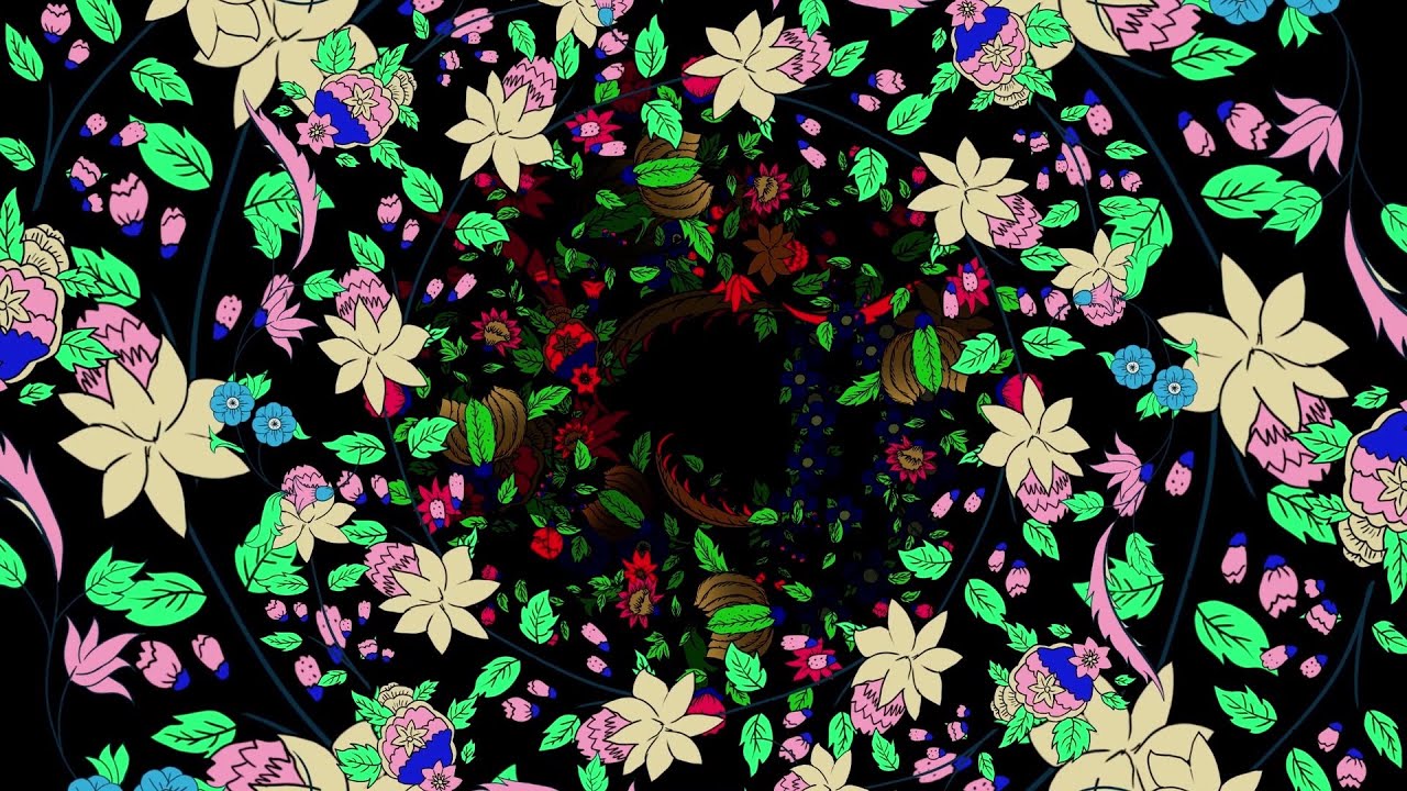 4K Video | Ethnic Flowers 💐 Loop Video | Free Video Background Loops ...