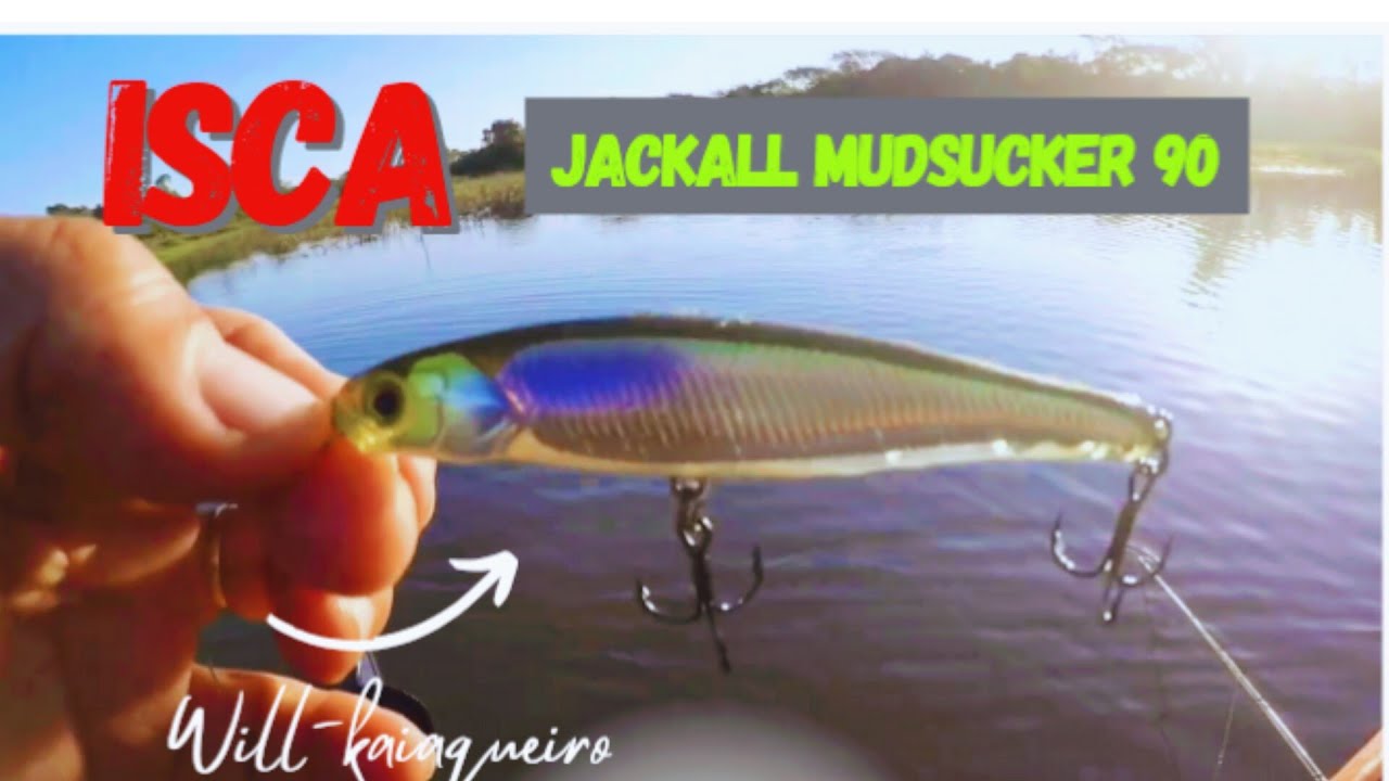 Pescaria de inverno, com a isca JACKALL MUDSUCKER 90" tucunaré azul e amarelo" - YouTube
