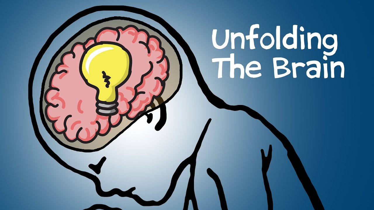 Unfolding The Brain - YouTube
