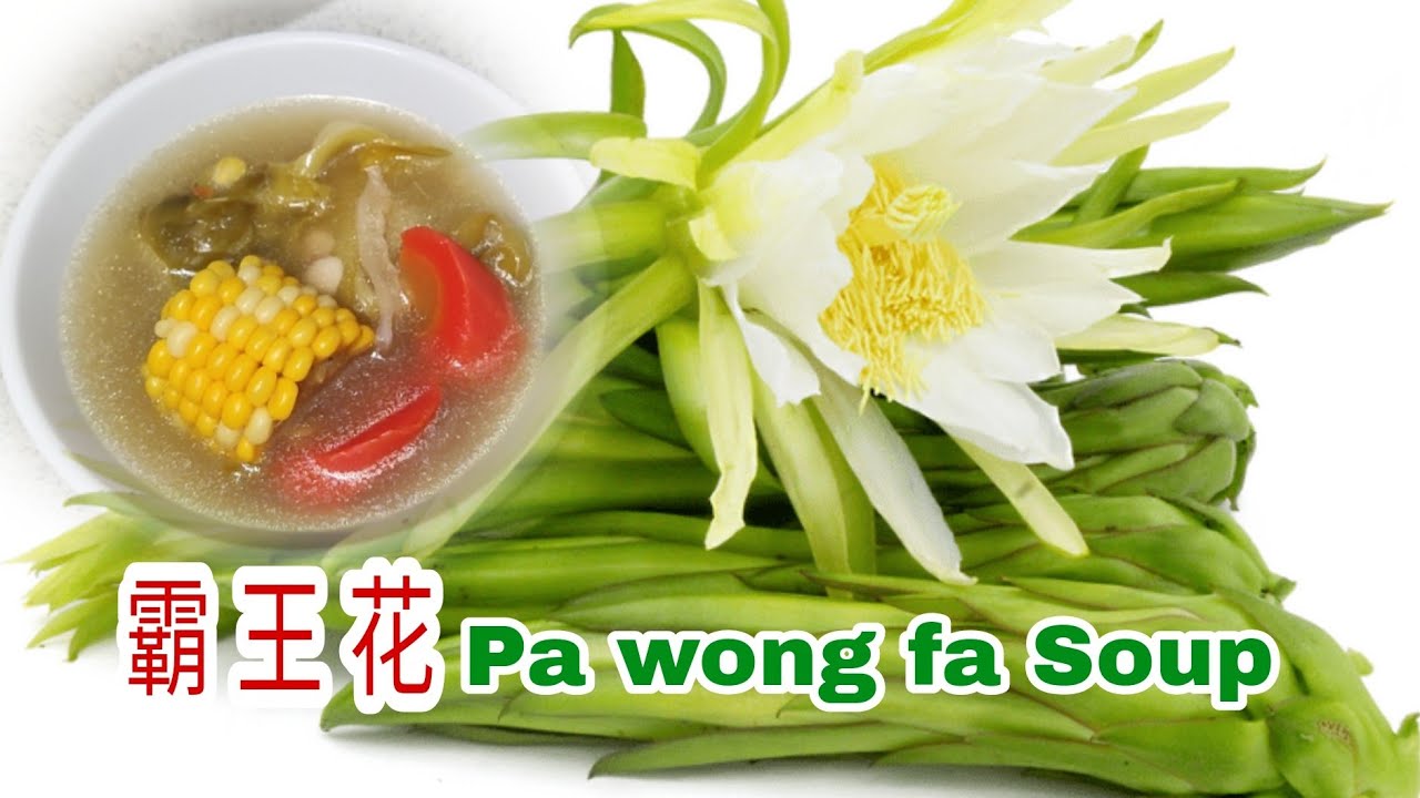 霸王花 || ba wong fa soup recipe || chinese food - YouTube
