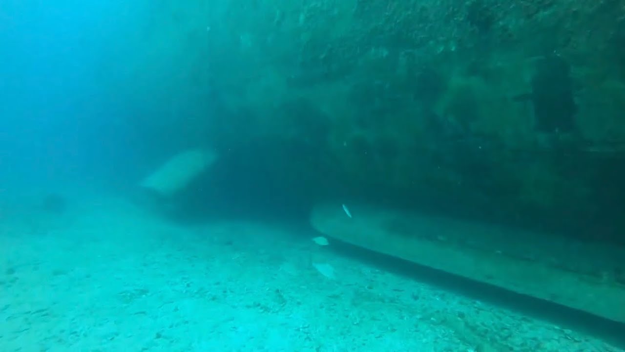 HMAS Swan Dive 2 09/02/2020 - YouTube